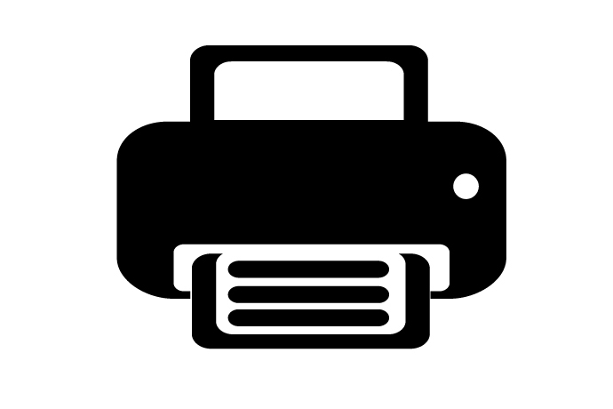 Принтер Epson Stylus Color 850Ne (C251131)